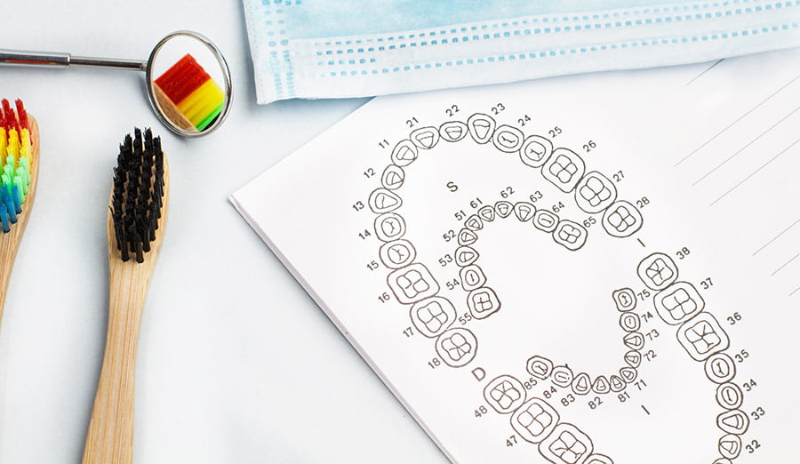 Numerotarea dinților în stomatologie - Omnia Dental